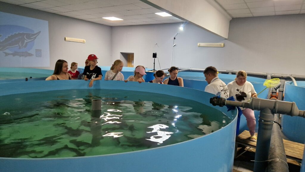 Balık çiftçiliği ve toptancıları FreshFish_33, Vladimirskaya oblastı, foto