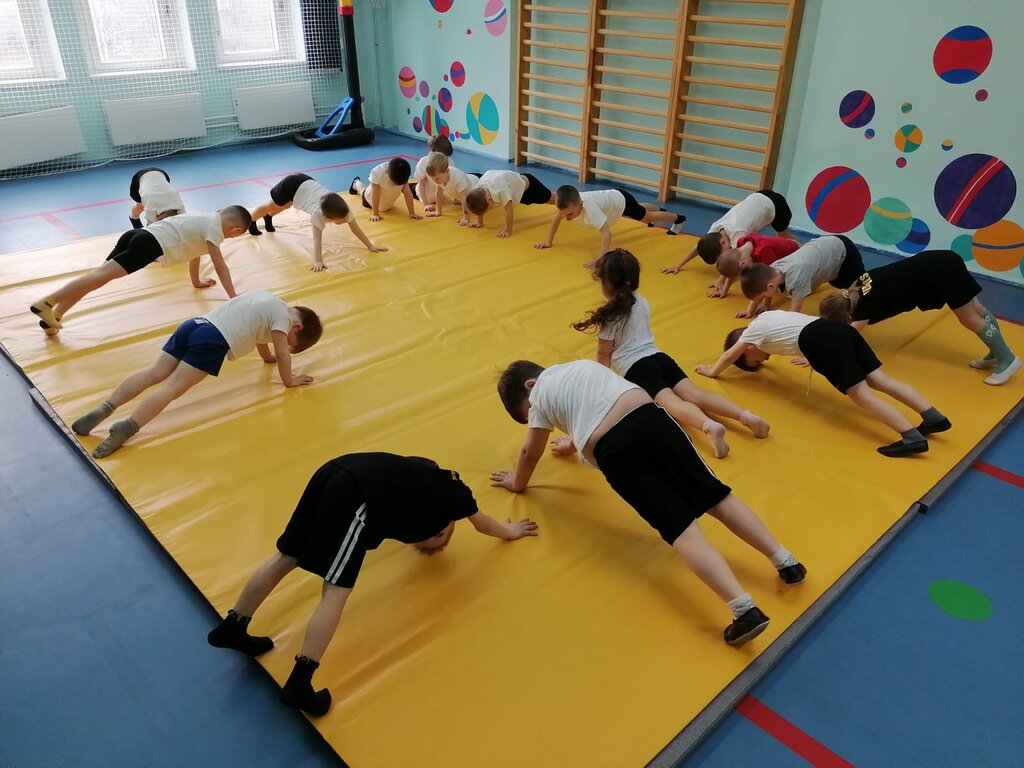 Spor okulları Фбддм Джиу-джитсу, Moskova, foto