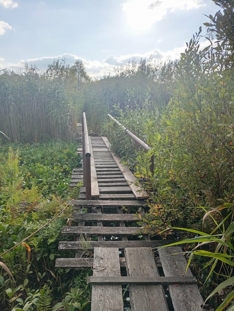Göl Озеро Полецкое, Moskova ve Moskovskaya oblastı, foto