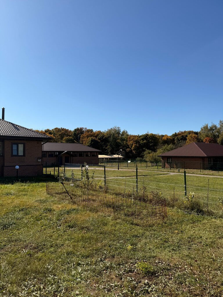 Yaz kampı Спутник, Lipetskaya oblastı, foto