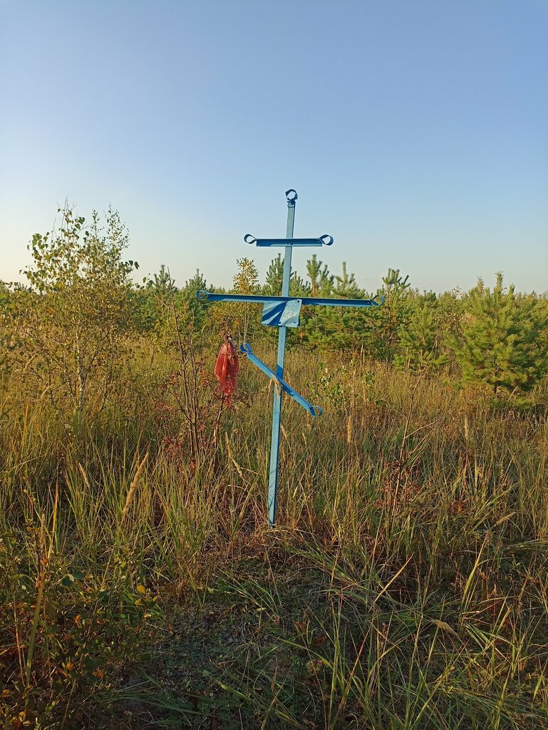 Anıt, heykel Братская могила. 1941 г., Moskova ve Moskovskaya oblastı, foto