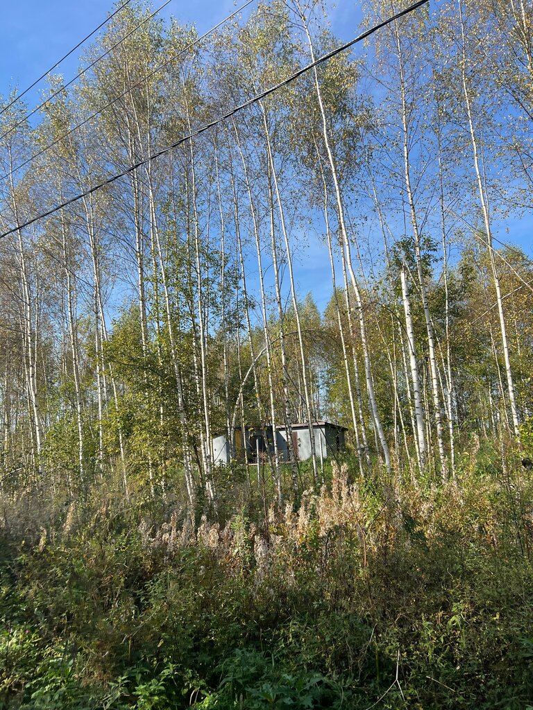 Resort oteller, tesisler Run, For Rest, Moskova ve Moskovskaya oblastı, foto