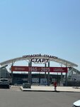 Start (Voronezh Region, Novovoronezh), stadyum  Novovoronej'den