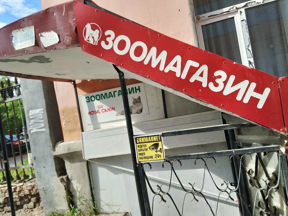 Petshop Зоомагазин, Pervouralsk, foto