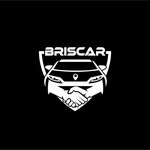 Briscar98 (Promyshlennaya Street No:11, posyolok Novogorelovo), çıkma yedek parça  Saint‑Petersburg ve Leningradskaya oblastından