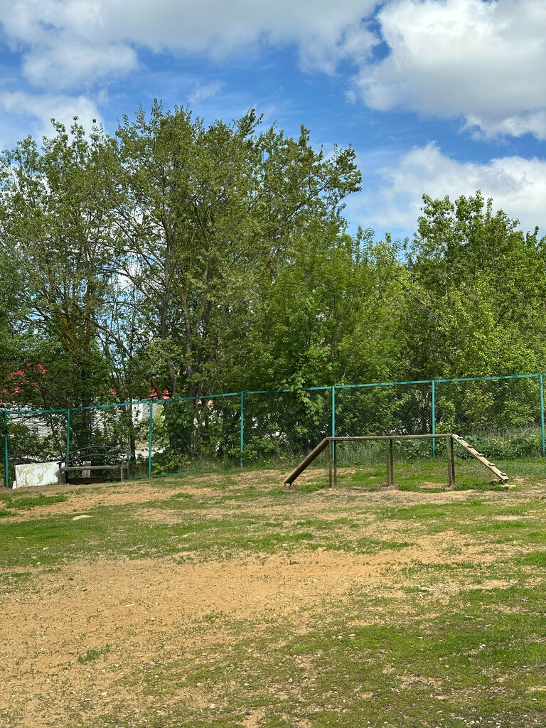 Köpek gezdirme alanları Dog park, Tula, foto
