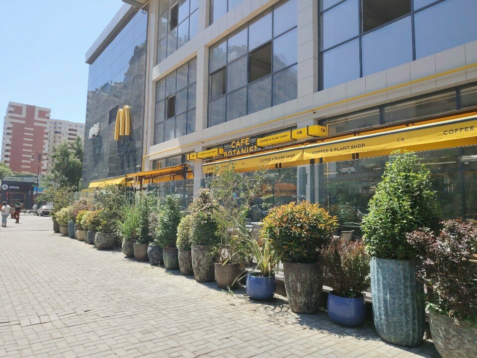 Kahve dükkanları Cafe Botanist, Bakü, foto
