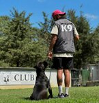 Delta Dog Club (İstanbul, Beykoz, Cumhuriyet Mah., Tambur Çk. Sok., 2/2), spor kulüpleri  İstanbul'dan