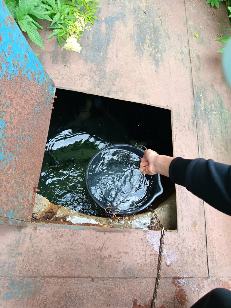Pınar, çay Spring, stream, Yaroslavskaya oblastı, foto