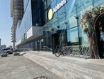 S7 Airlines (Kirova Street No:23), yönetim ofisi  Novosibirsk'ten