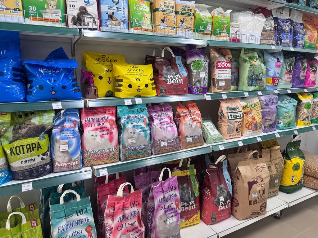 Petshop Мохнатая лапа, Vologda, foto