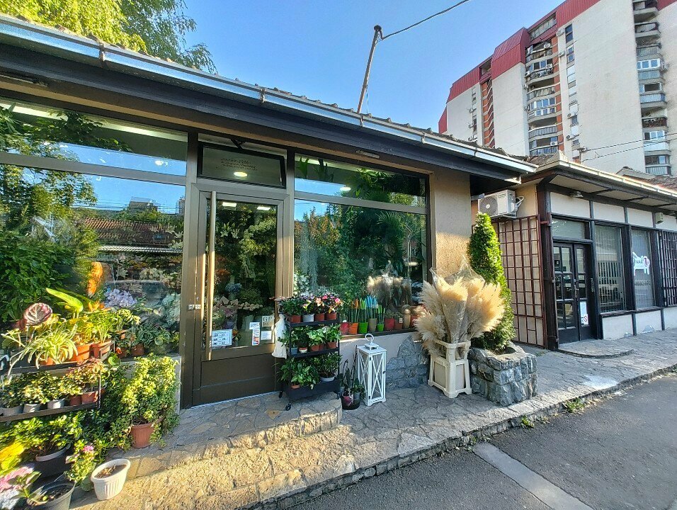 Çiçekçiler Elite, Belgrad, foto