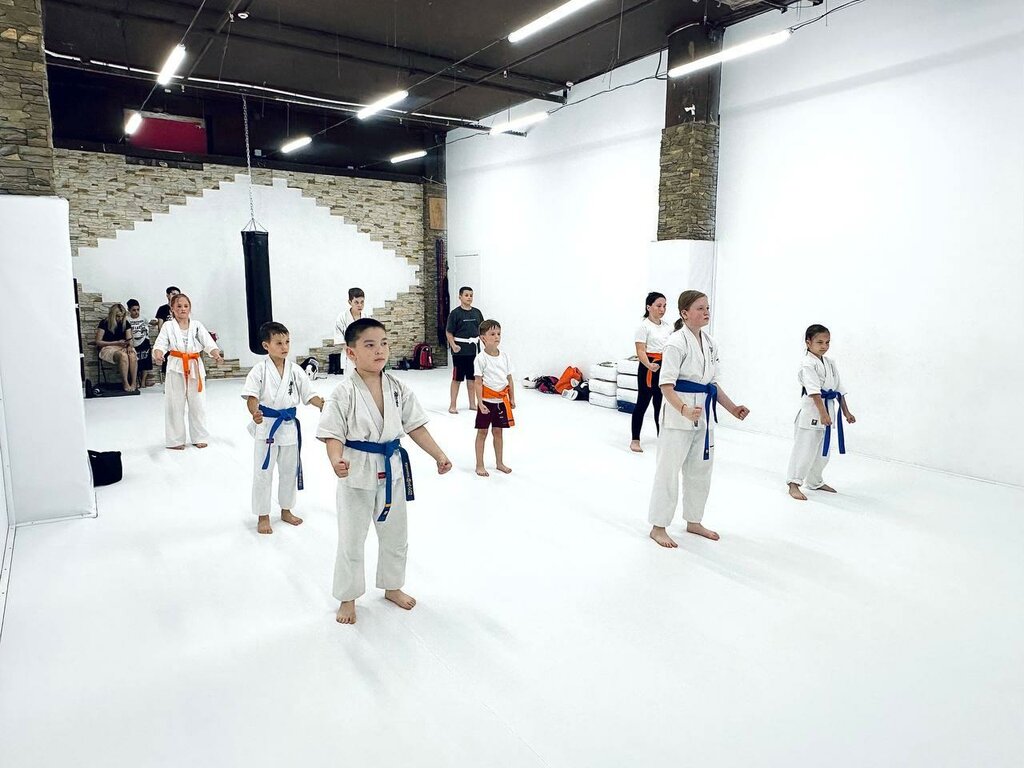 Spor okulları Rostovskaya Federatsiya Kyokushinkai Karate-do, Rostov‑na‑Donu, foto