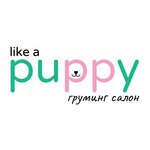 Like a puppy (Komendantskaya square No:8), evcil hayvan kuaförleri  Saint‑Petersburg'dan