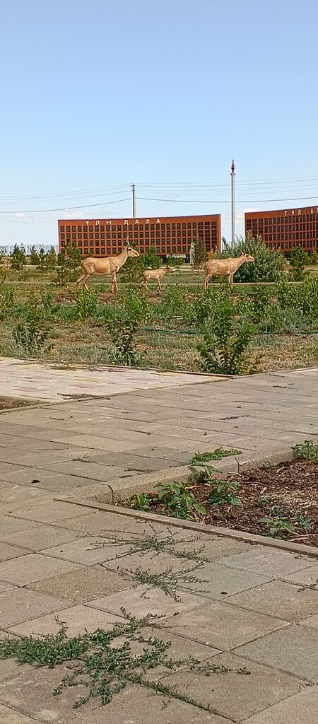 Müzeler ve sanat galerileri Desht-i-Kipchak Museum, Kostanay eyaleti, foto