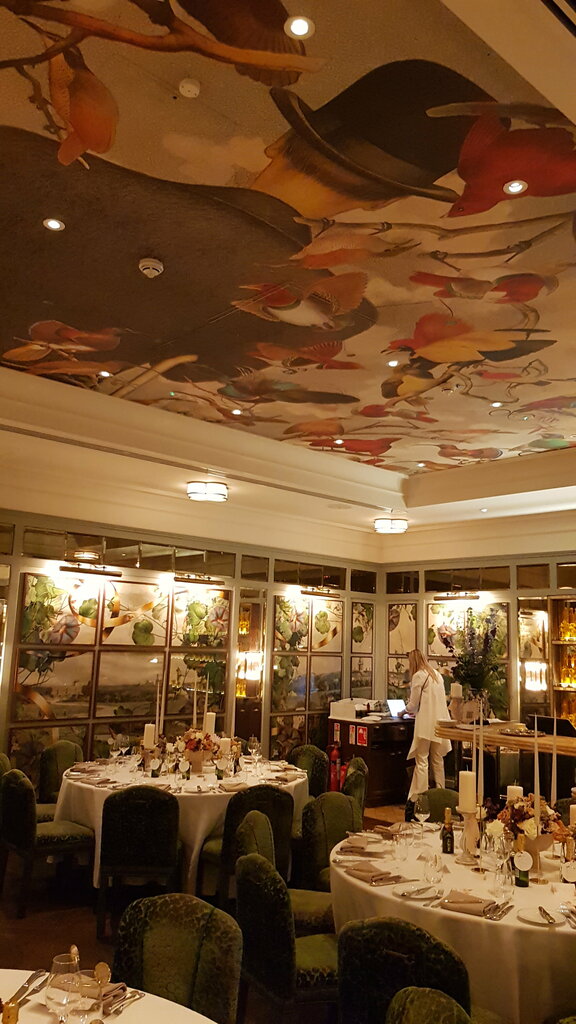 Restoran The Ivy, Dublin, foto