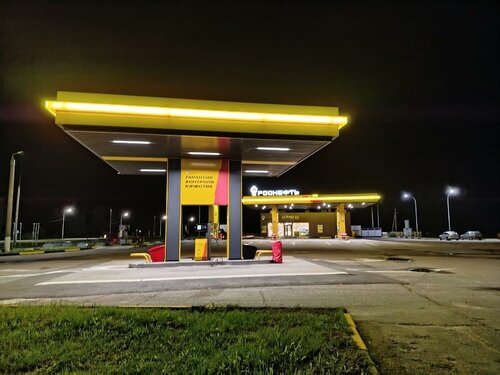 Benzin istasyonu Rosneft, Brianskaya oblastı, foto
