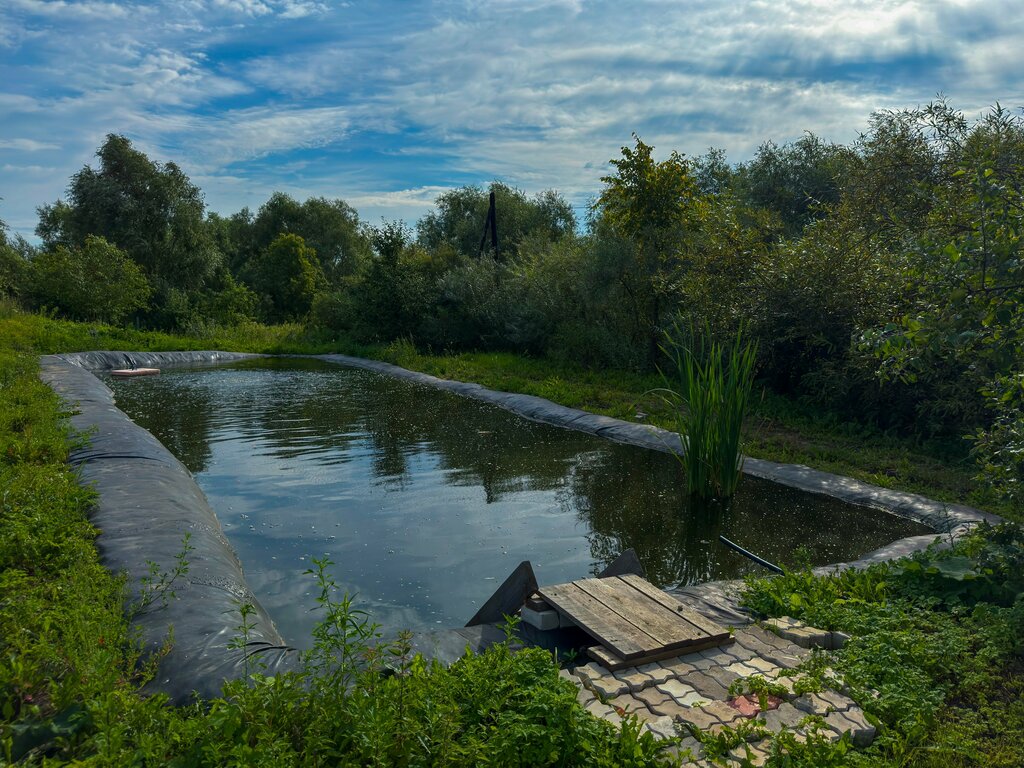 Glamping Сергово, Novgorodskaya oblastı, foto