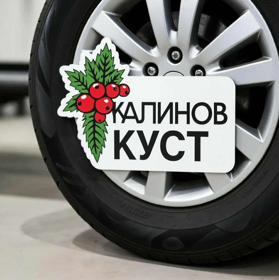 Araç muayene istasyonları Калинов куст, Kalujskaya oblastı, foto