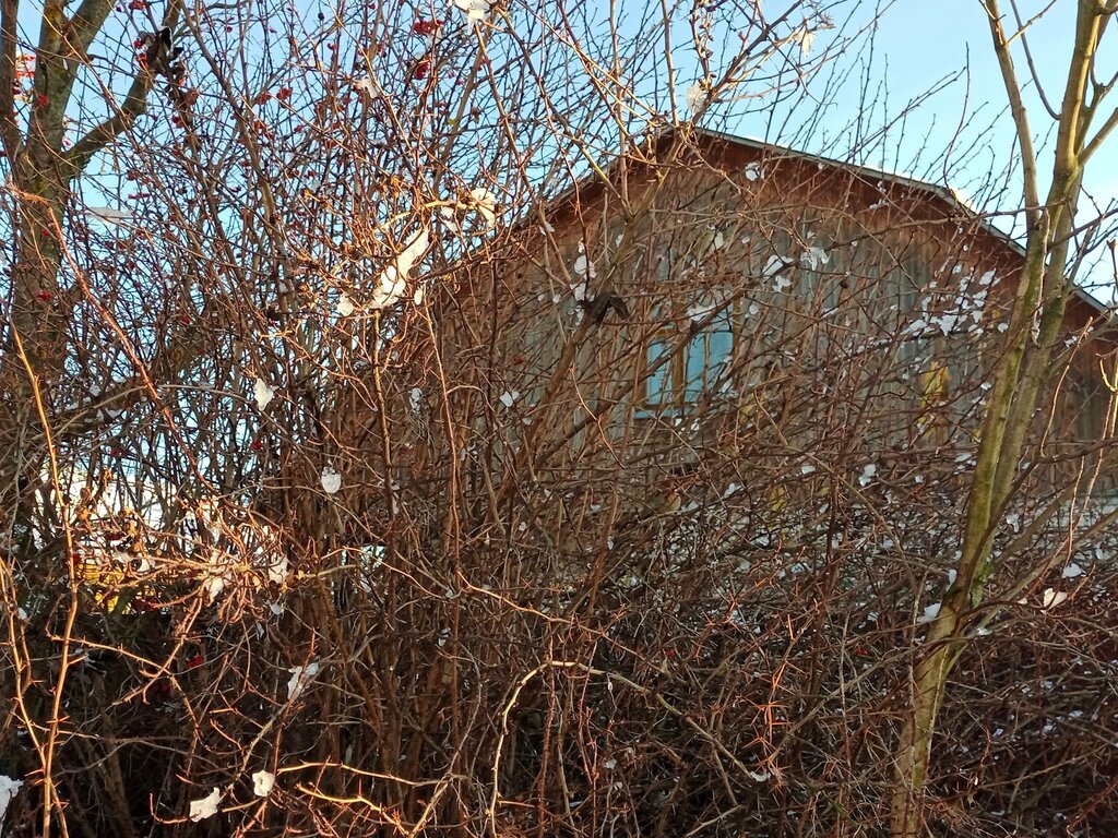 Mühendislik altyapısı Котельная, Pavlovski Posad, foto