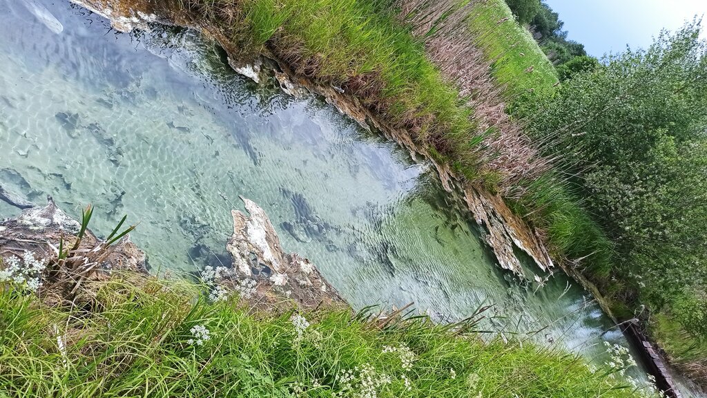 Pınar, çay Spring, stream, Vologodskaya oblastı, foto