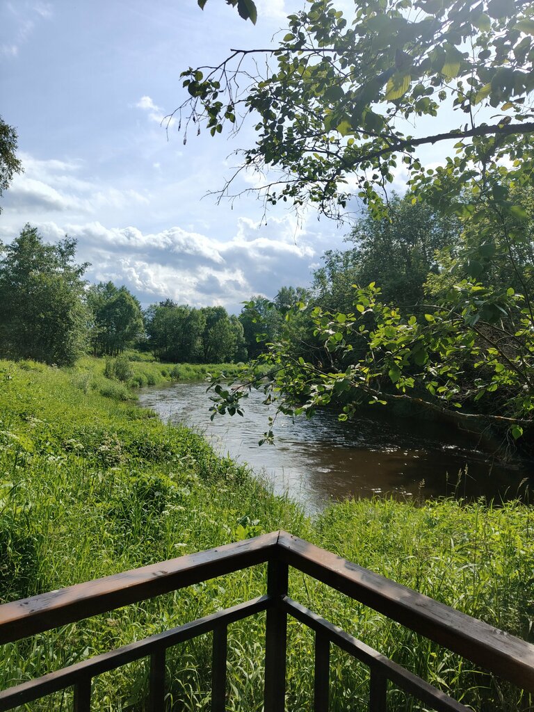Pınar, çay Родник Кутачи, Moskova ve Moskovskaya oblastı, foto