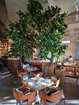 Cucucina (Amir Temur shoh koʻchasi No:22/5, Mirabad District), restoran  Taşkent'ten