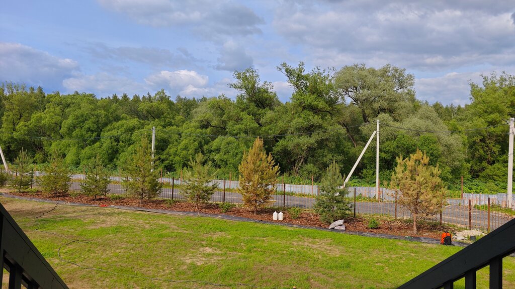 Sera ve bahçe ürünleri Вишня черешня груша, Moskova ve Moskovskaya oblastı, foto