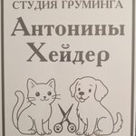 Груминг студия Антонины Хейдер (Sovetskaya Street No:116), evcil hayvan kuaförleri  Yoshkar‑Ola'dan