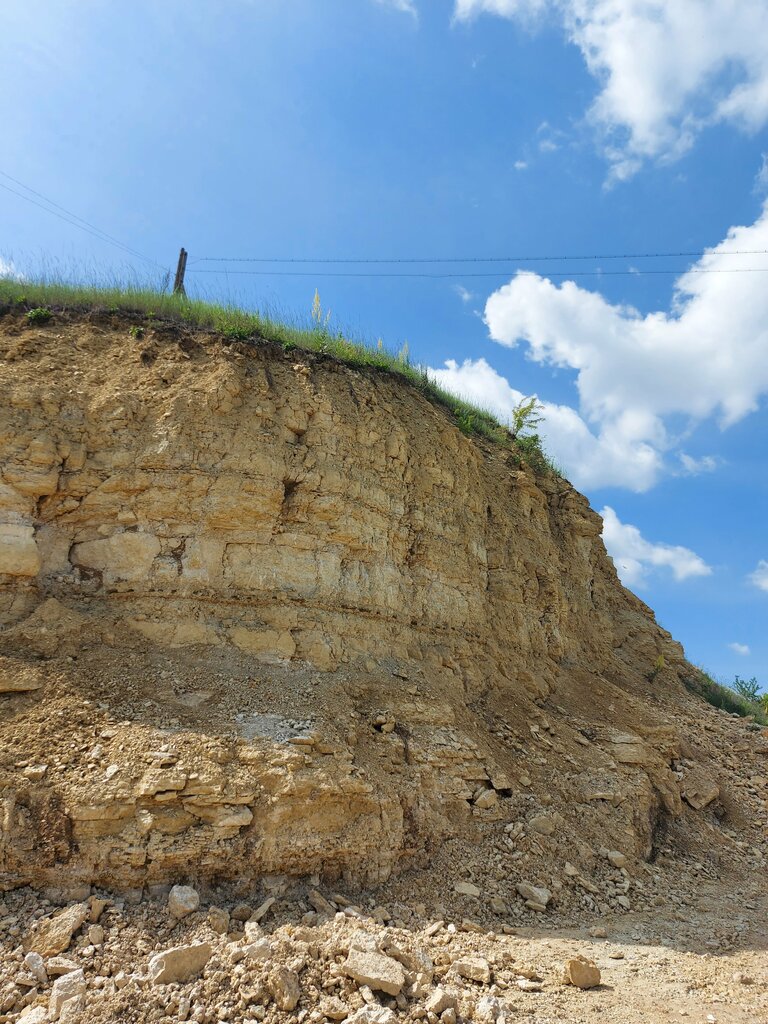 Plaj Пляж, Lipetskaya oblastı, foto