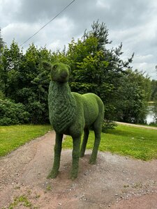 Алексеевский парк (Leningrad Region, Vsevolozhsk, Alekseyevskiy park), kültür ve eğlence parkları  Vsevolgsk'tan