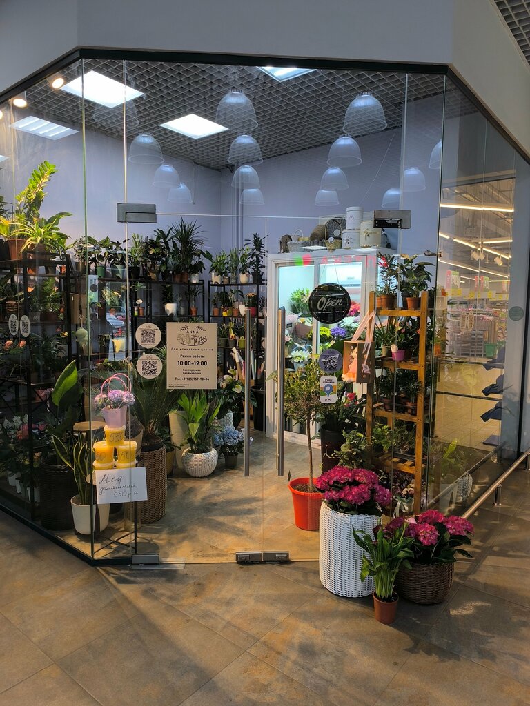 Çiçekçiler Дом комнатных цветов Анна, Ramenskoye, foto