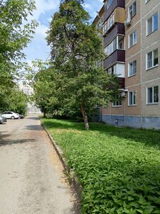Место нахождения усадьбы Е. М. Перси-Френч (Ulyanovsk, park Vinnovskaya roshcha), unutulmaz olayların yeri  Ulyanovsk'tan