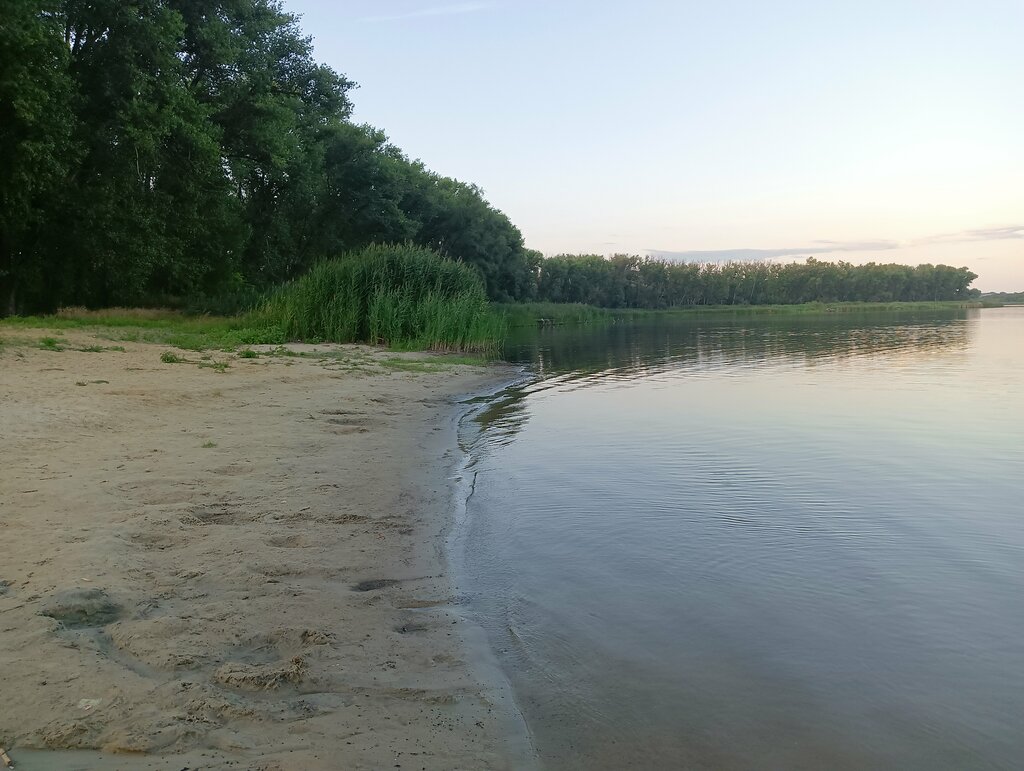 Plaj Пляж, Voronejskaya oblastı, foto