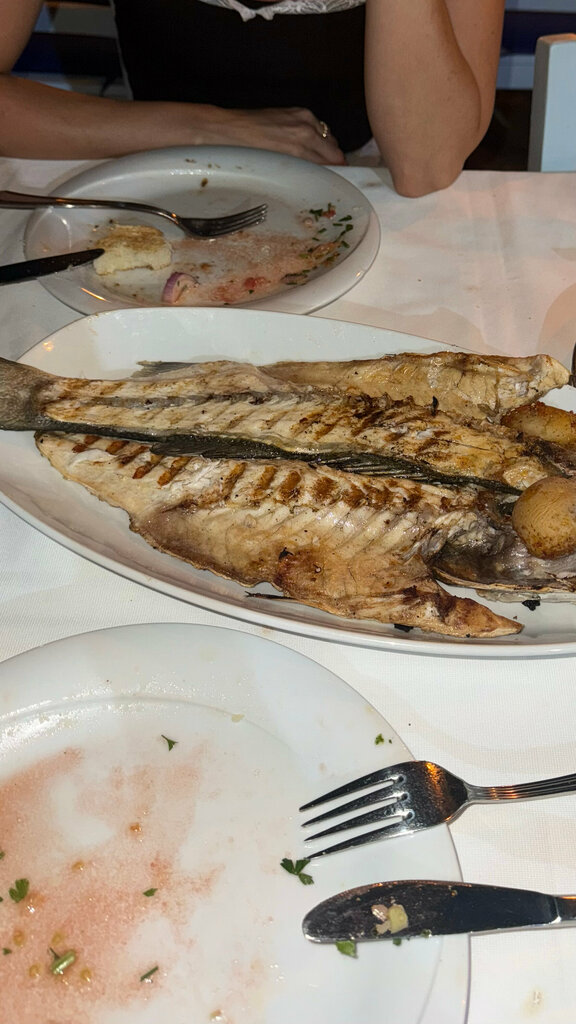 Restoran Güvercinlik Çınaraltı cafe, Bodrum, foto