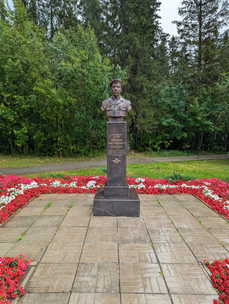 Anıt, heykel Бюст Дениса Трегубова, Çusovoy, foto