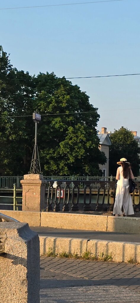 Turistik yerler Пикалов мост, Saint‑Petersburg, foto