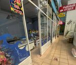 Рыба (ulitsa Zherdeva No:104), balık ve deniz ürünleri  Ulan‑Ude'den