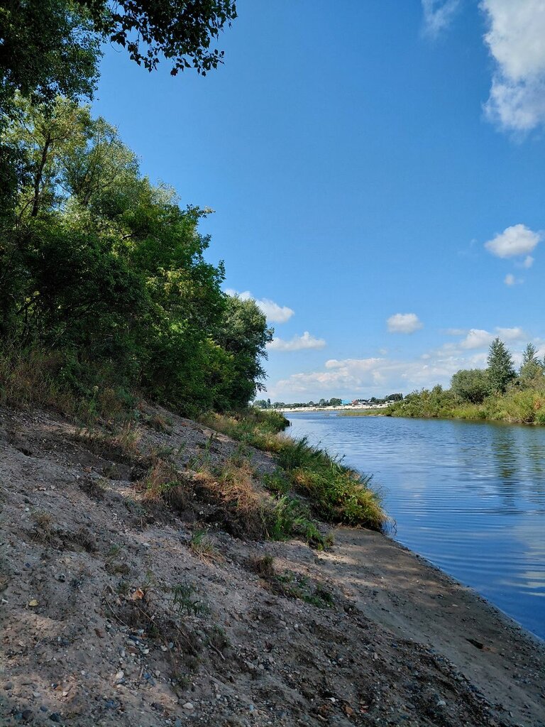 Resort oteller, tesisler Bobrovka Island, Semey, foto