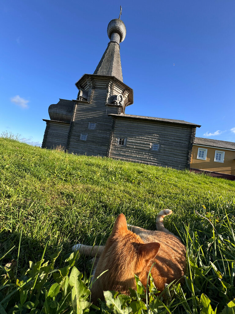 Ortodoks kiliseleri Tserkov Nikolaya Chudotvortsa V Nyonokse, Arhangelskaya oblastı, foto