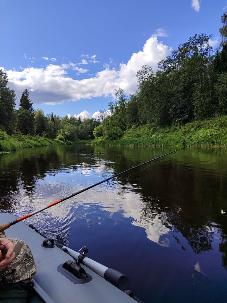 Plaj Пляж, Moskova ve Moskovskaya oblastı, foto