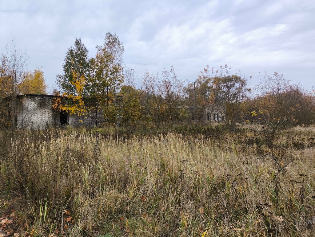 Unutulmaz olayların yeri Хлебопекарня, Brianskaya oblastı, foto