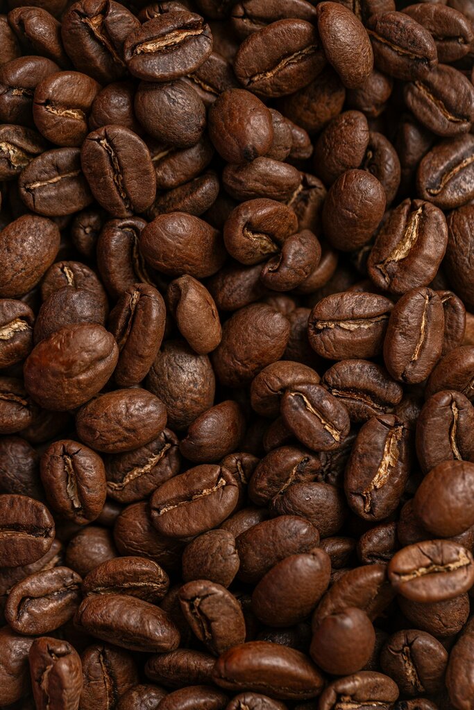 Kahve dükkanları Lintu, Moskova, foto