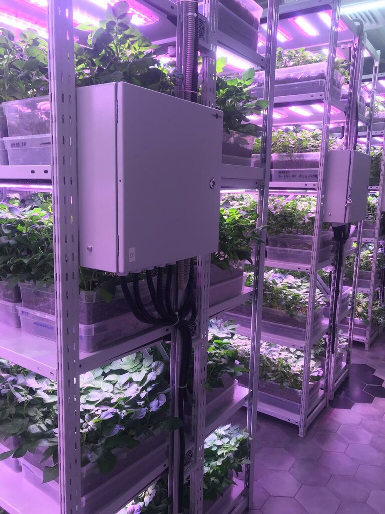 Sanayi kuruluşu Юг Логистик, Moskova ve Moskovskaya oblastı, foto