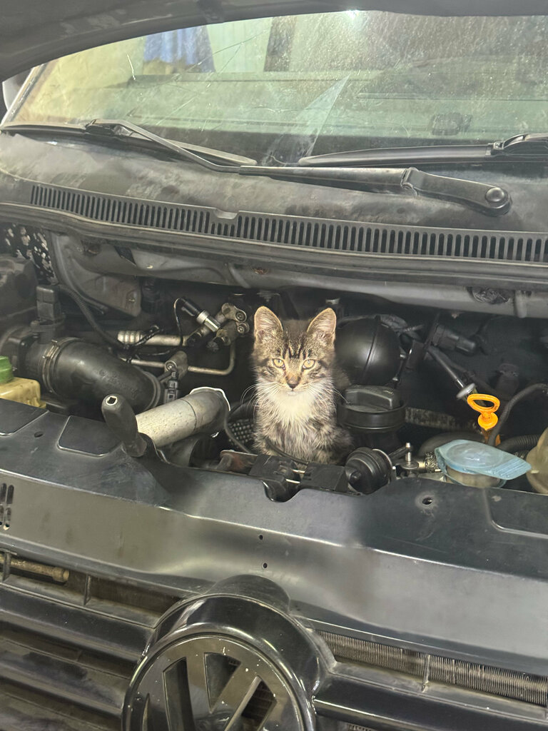 Otomobil servisi G&m, Troitsk, foto