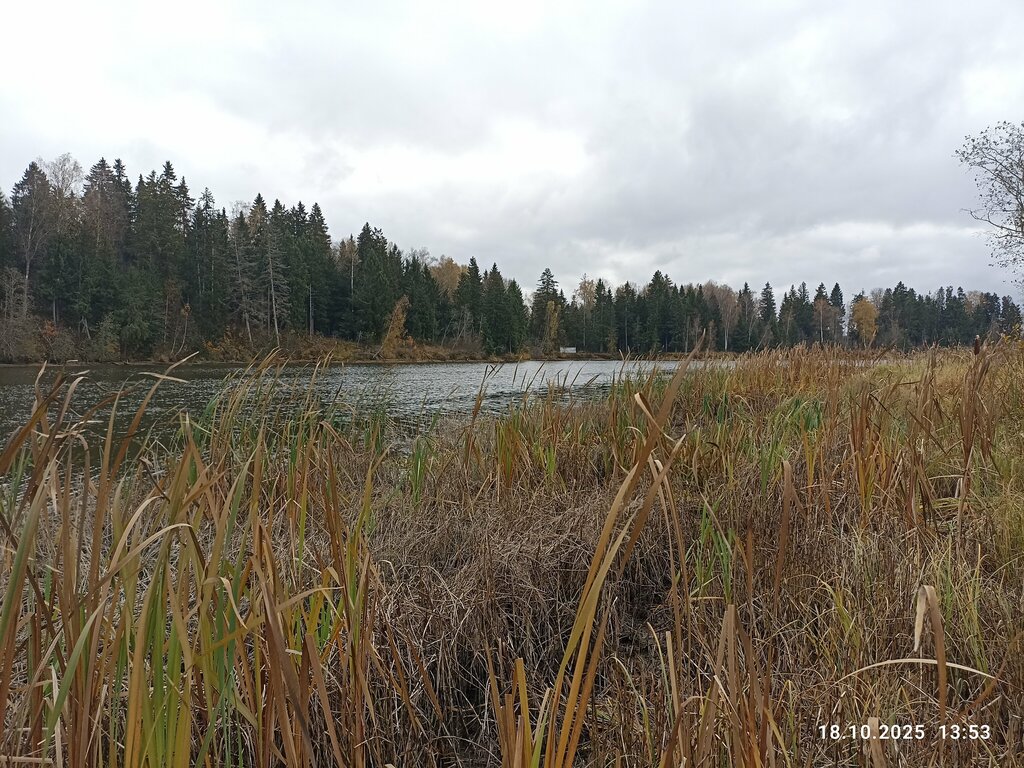 Plaj Beach, Moskova ve Moskovskaya oblastı, foto