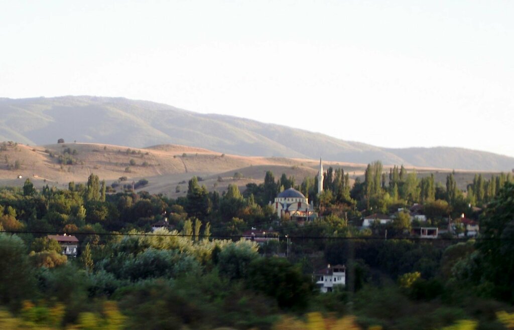 Muhtarlıklar Dörtyol Köy Muhtarlığı, Taşova, foto