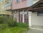 Dogue (Branislava Borote No:7, Novi Sad), evcil hayvan kuaförleri  Novi Sad'dan