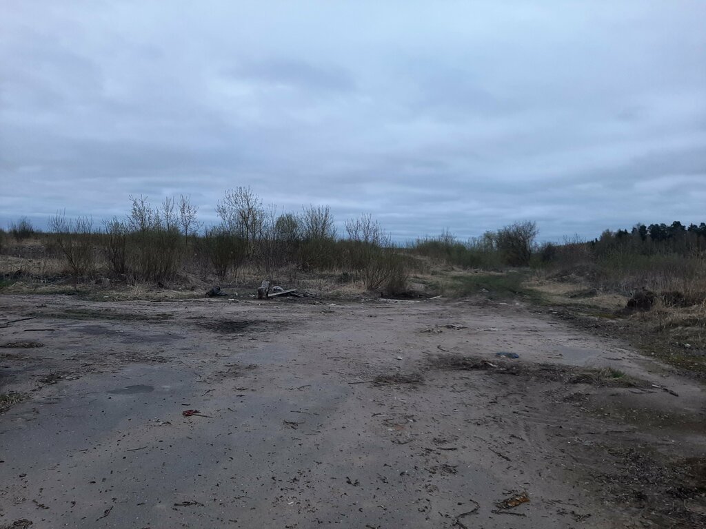 Çöp alanları Trash and garbage disposal area, Kostromskaya oblastı, foto