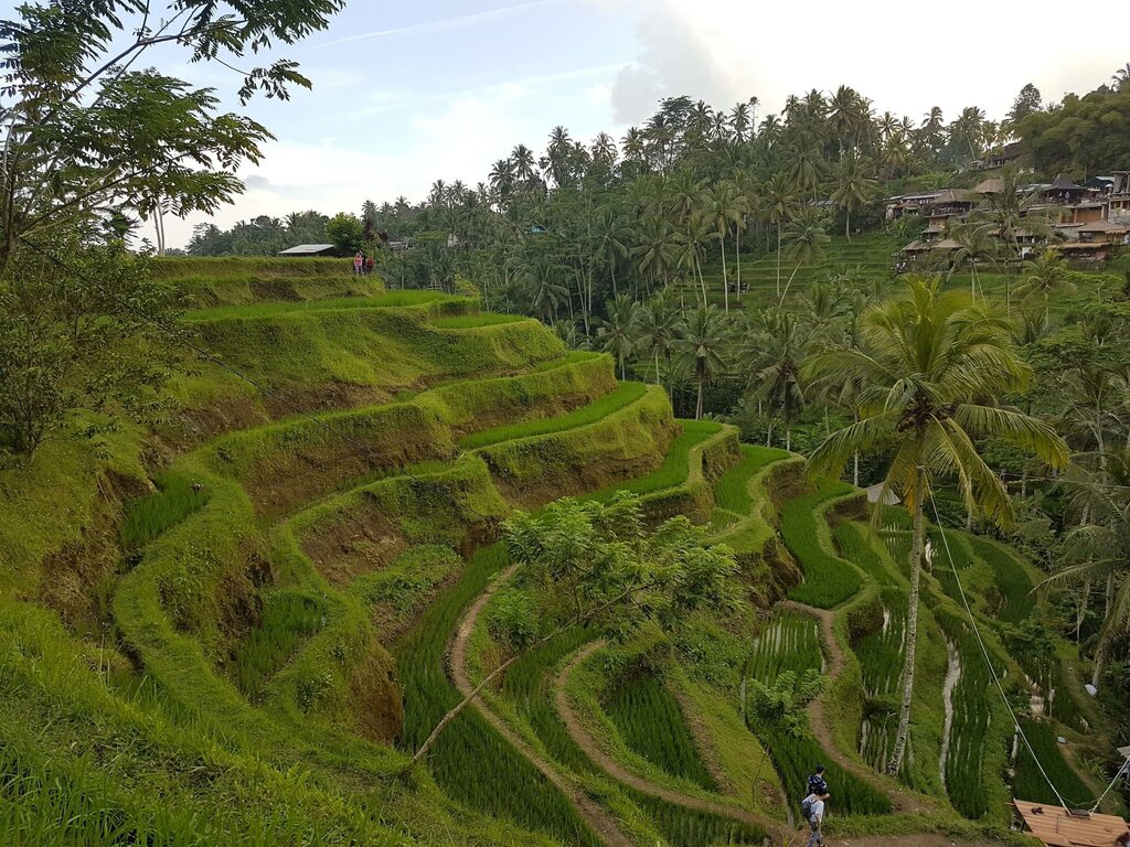 Otel Buda Cottage Ubud, Bali, foto